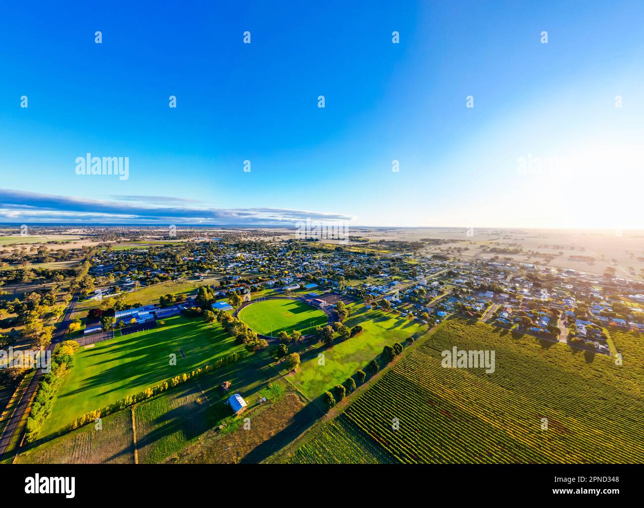 Coonawarra Landscape near Penola in Australia Stock Photo - Alamy