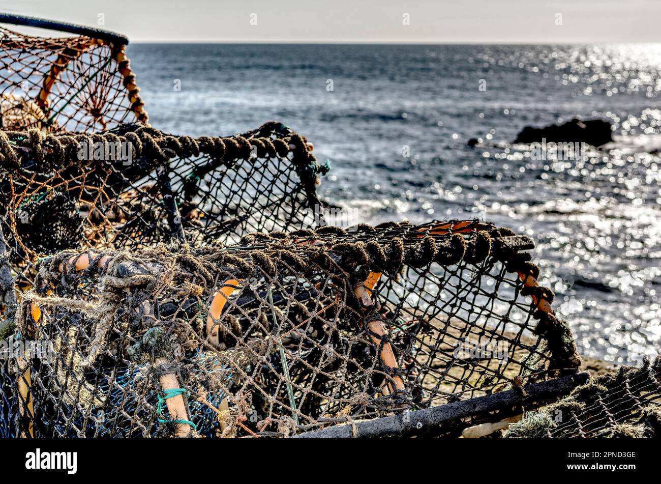 Lobster pots and nets on the coast of Scotland Stock Photo - Alamy