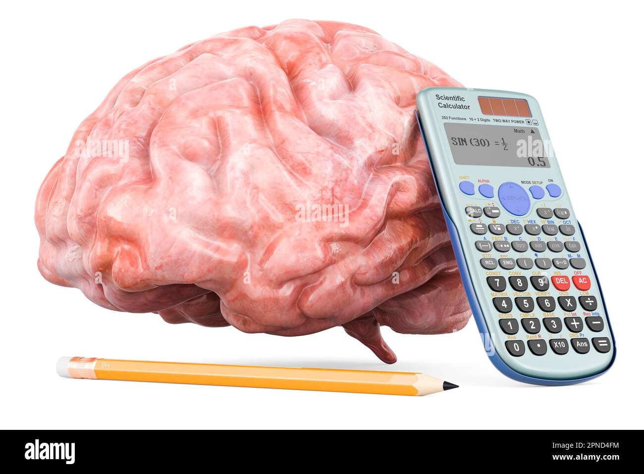 Brain with calculator and pencil, research concept. 3D rendering ...