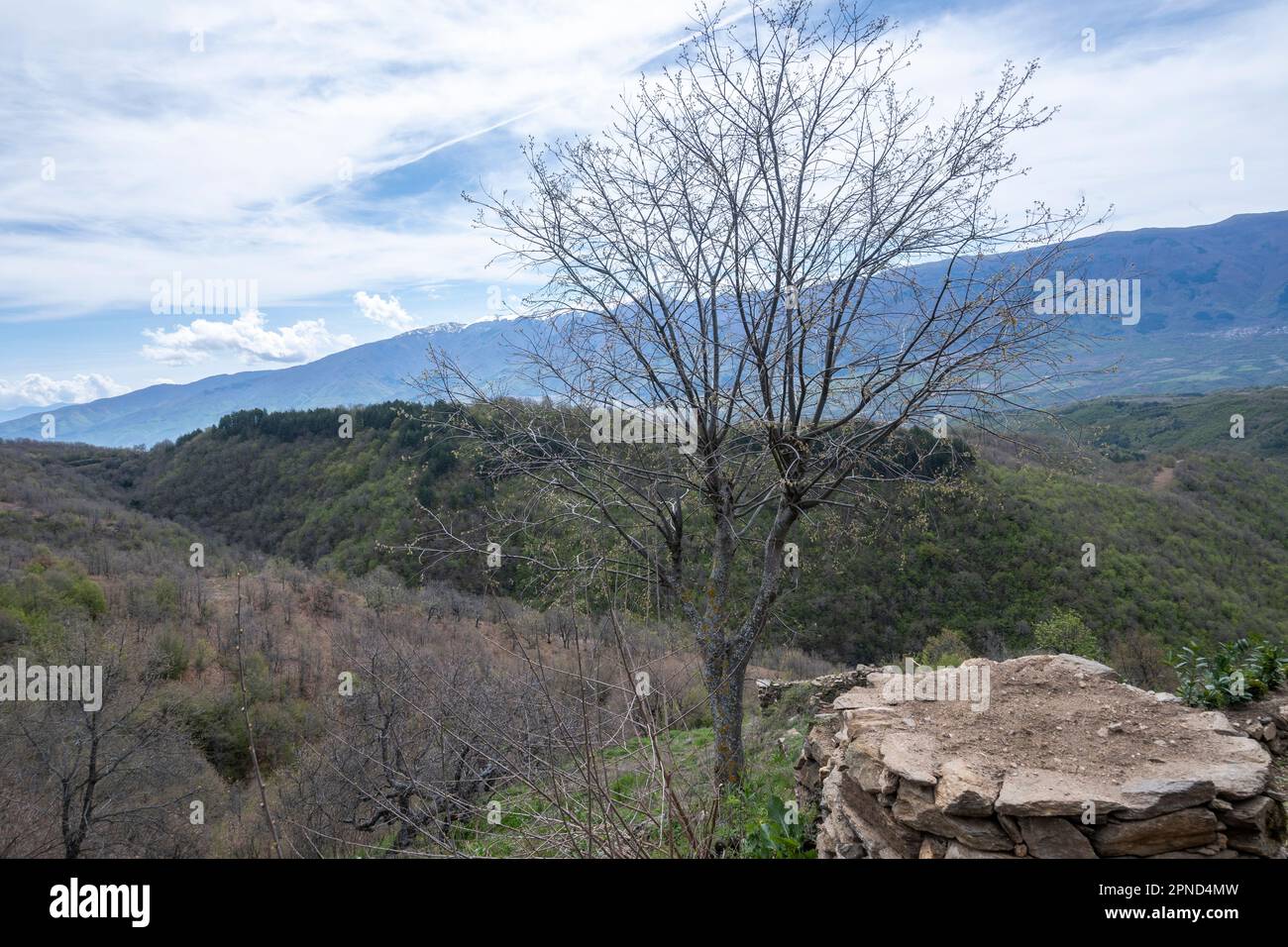 Panorama of Village of Dolene at Ograzhden Mountain, Blagoevgrad Region ...