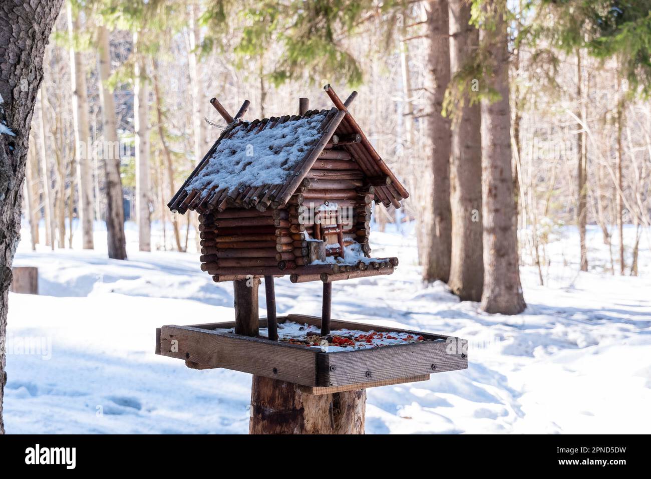 bird feeder in the form of a hut made of natural materials is installed ...