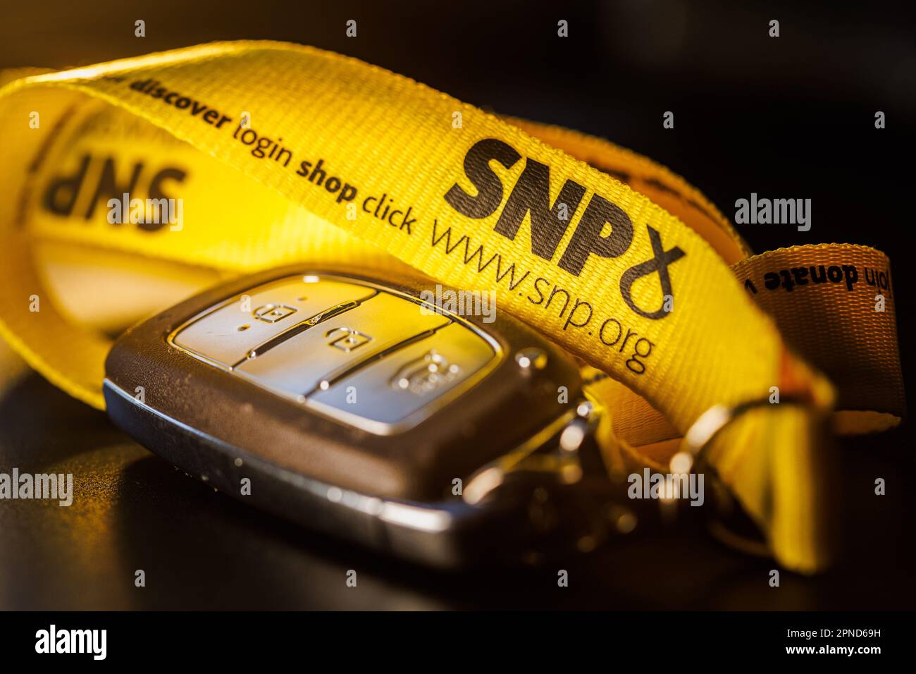 Car, motorhome or campervan keys with an Scottish National Party SNP ...