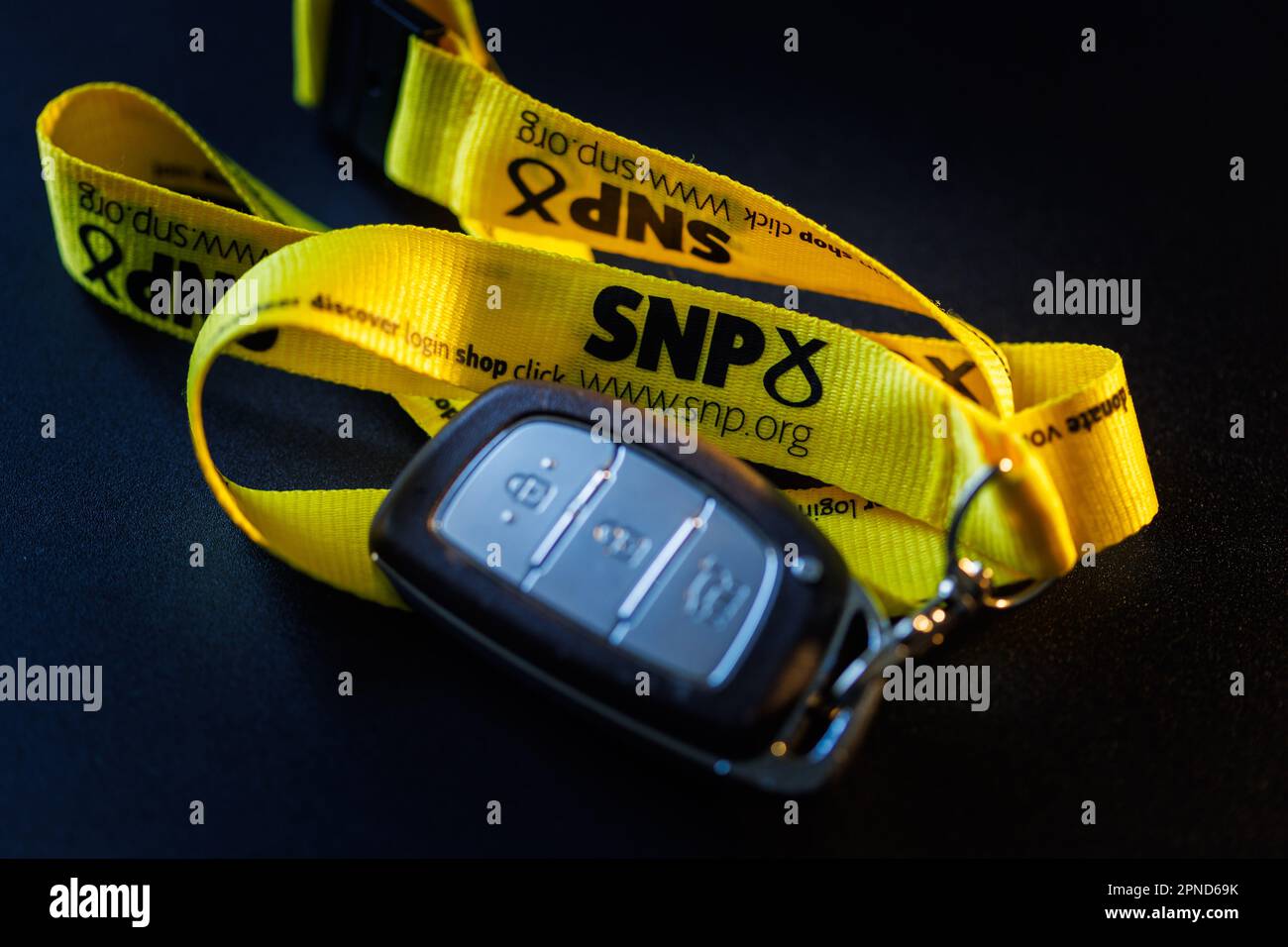 Car, motorhome or campervan keys with an Scottish National Party SNP ...