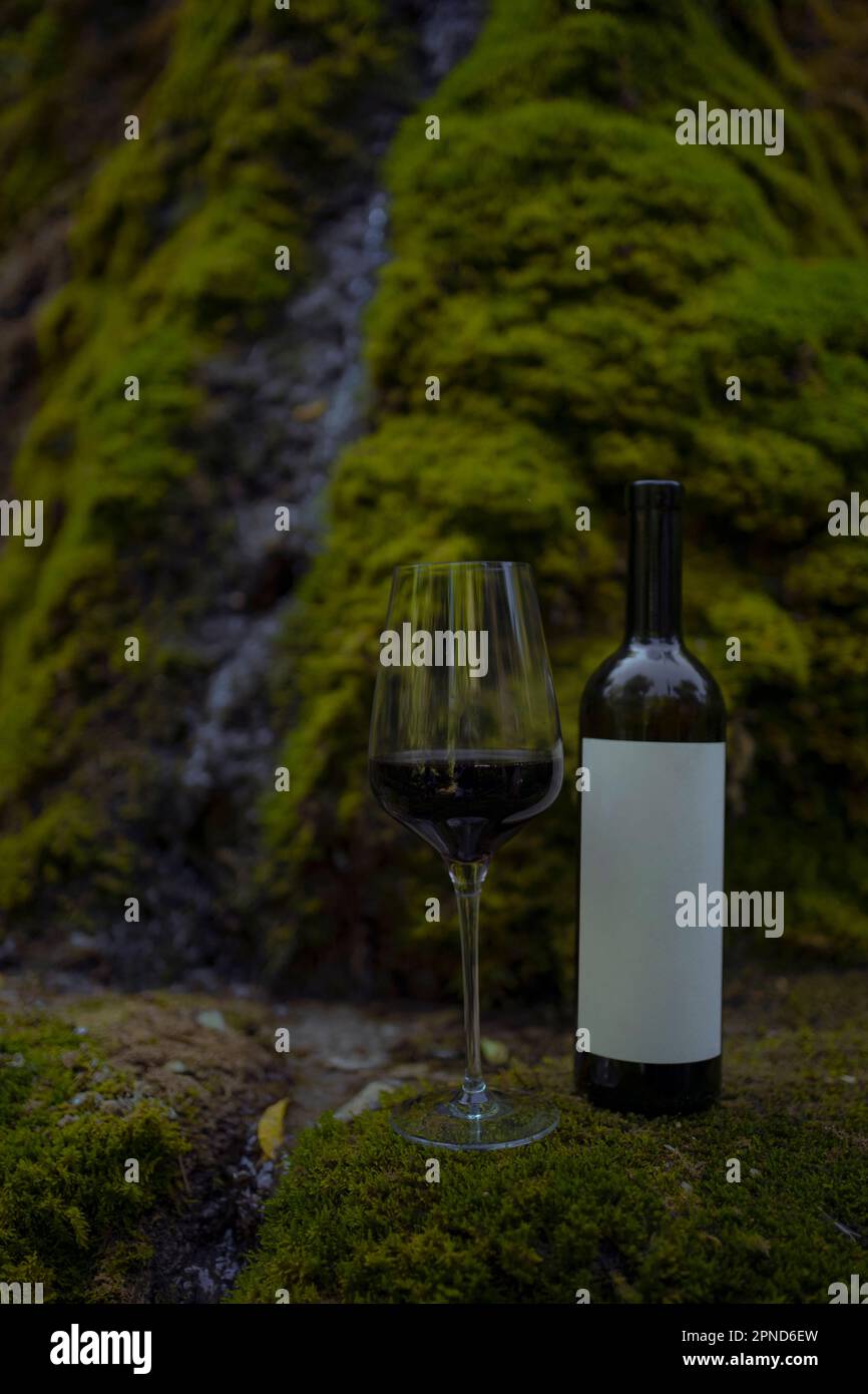 Woman afro tropical forest hi-res stock photography and images - Alamy