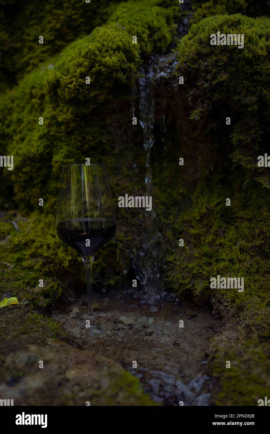 Girl bikini water park hi-res stock photography and images - Alamy