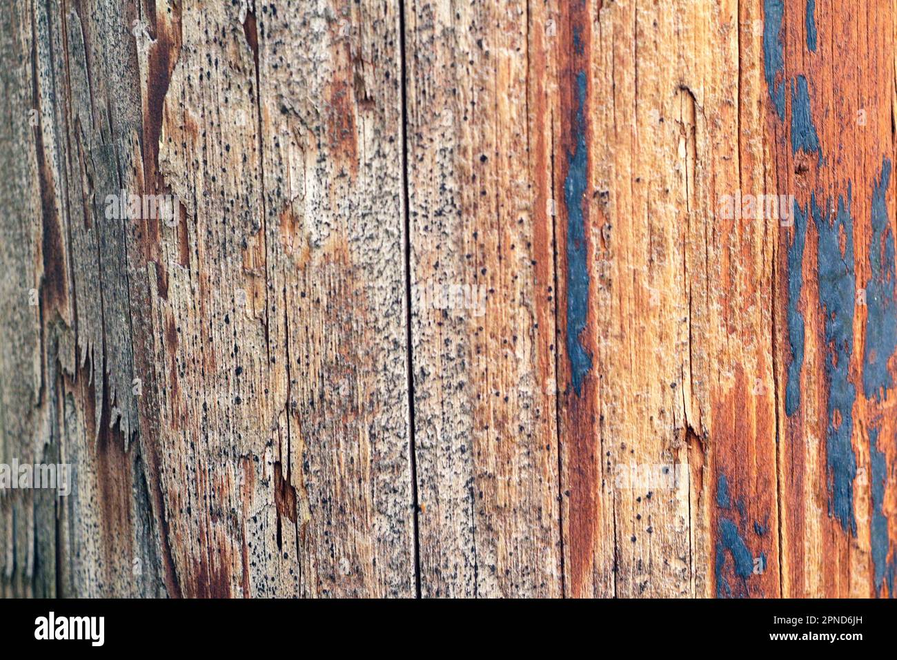 Brown scratched wooden cutting board. Wood texture. Dark old wooden ...