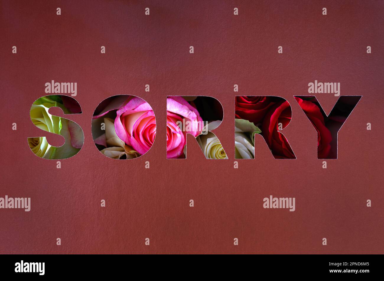 The word Sorry cut out of a piece of terracotta paper with roses ...