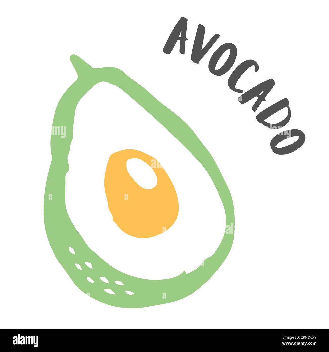 Avocado cut in half drawing hand painted with ink brush isolated on ...