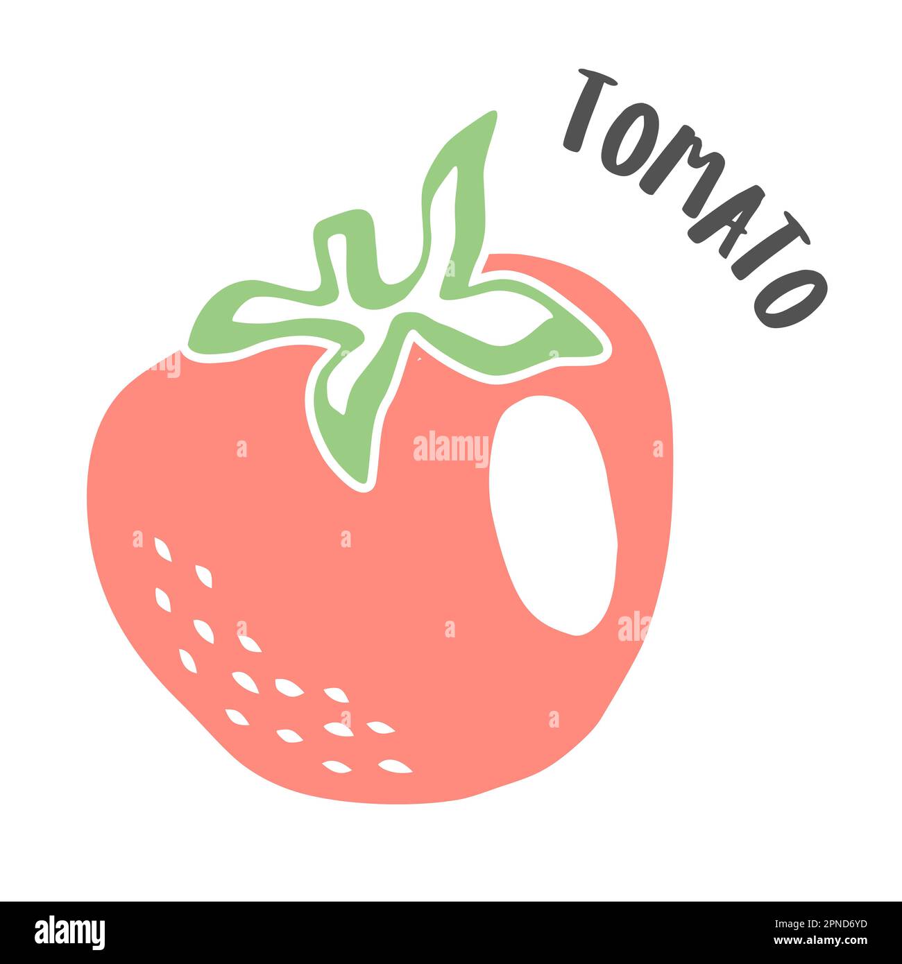Tomato drawing hand painted with ink brush isolated on white background ...