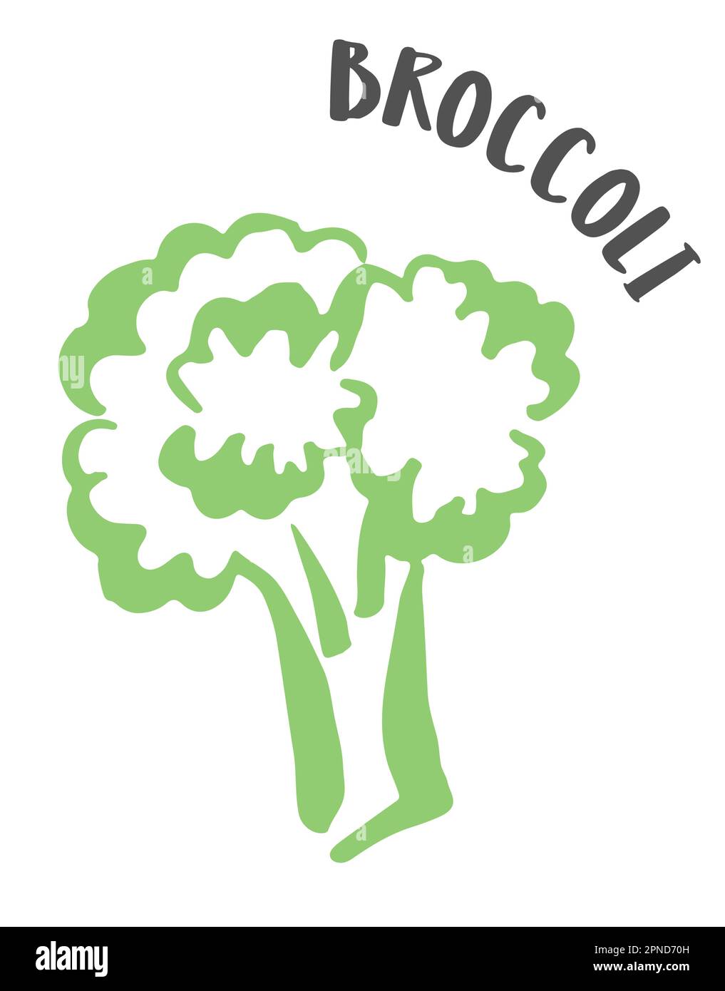 Broccoli drawing hand painted with ink brush isolated on white ...