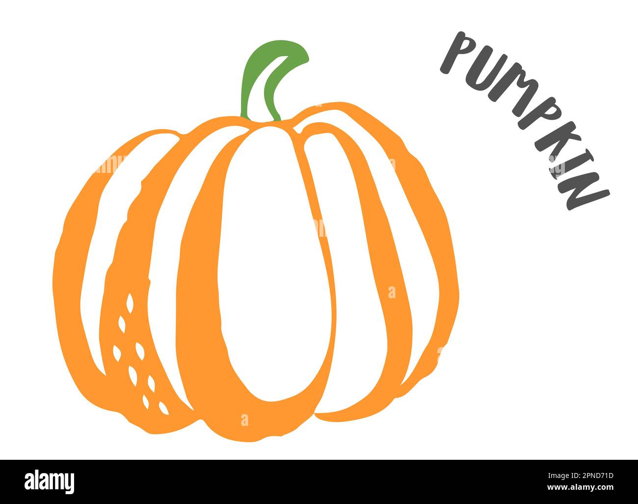 Pumpkin drawing hand painted with ink brush isolated on white ...