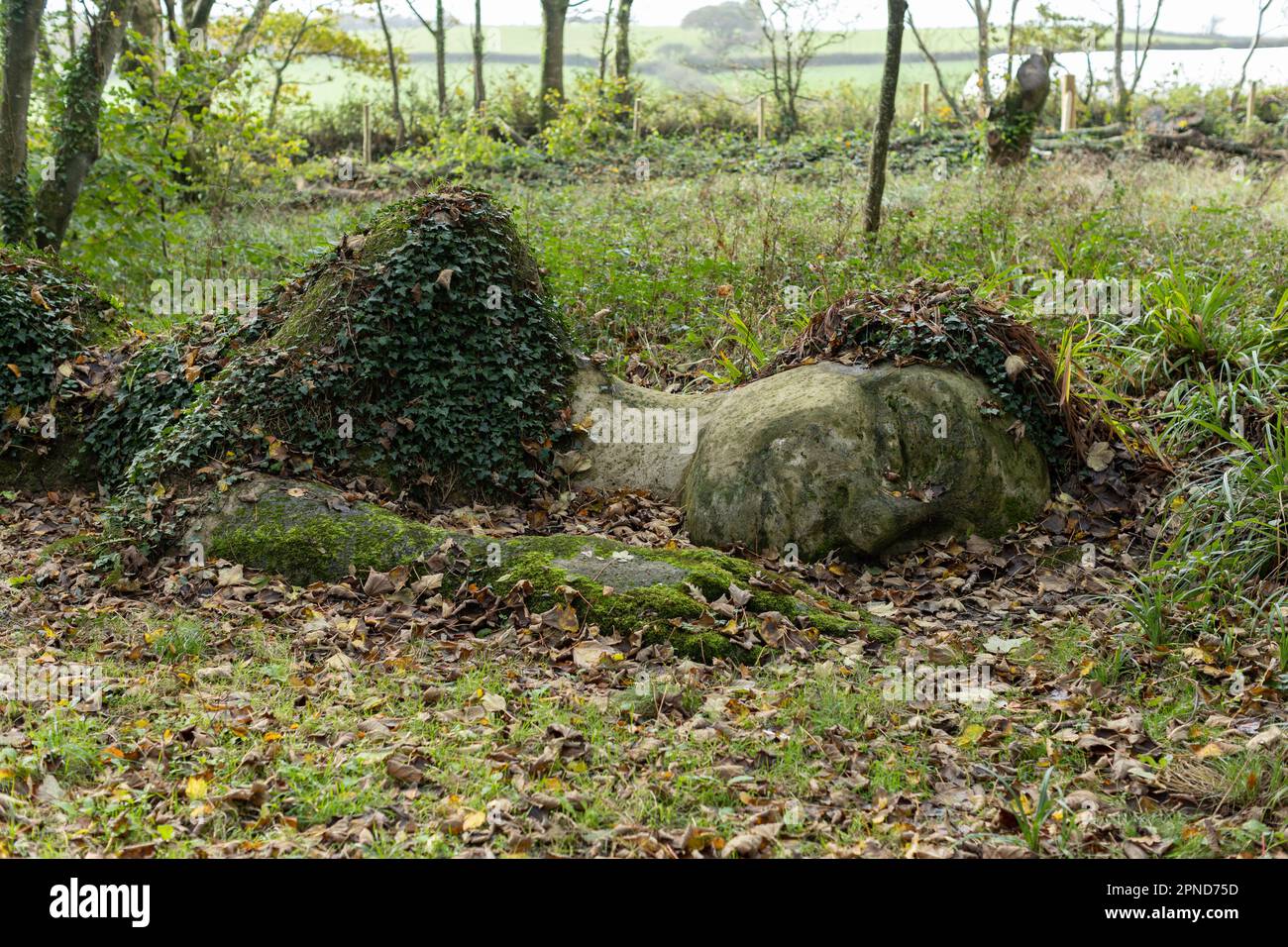 A stone statue, The Mudmaid, at The Lost Gardens of Helligan on the ...