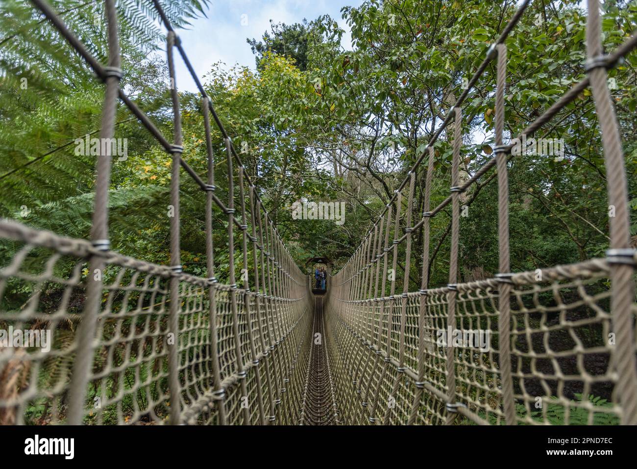 A rope bridge in the Lost Gardens of Helligan on the 30th October 2022 ...
