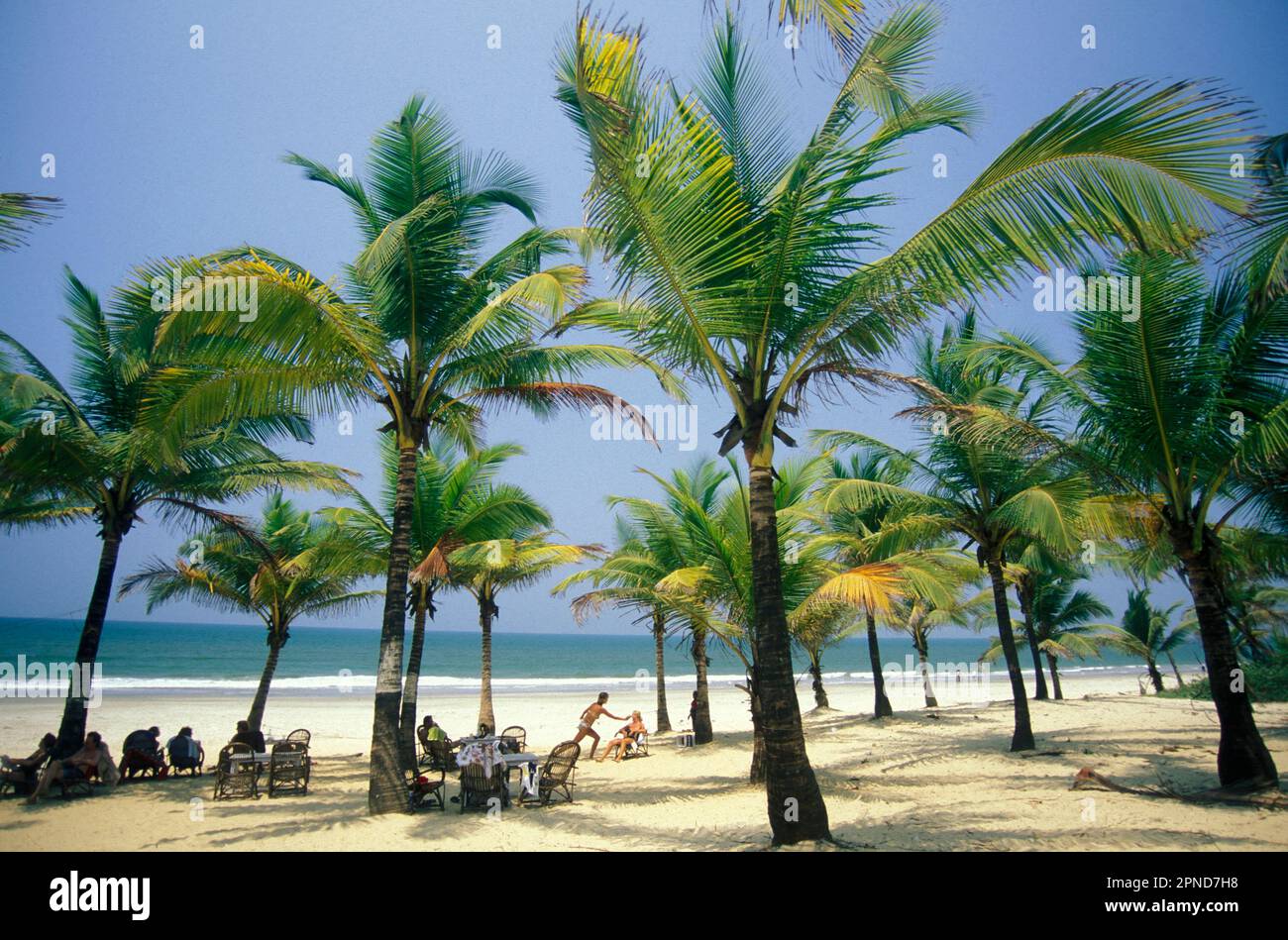 a Beach with Landscape and Coast at the Town of Vagator in the Province ...