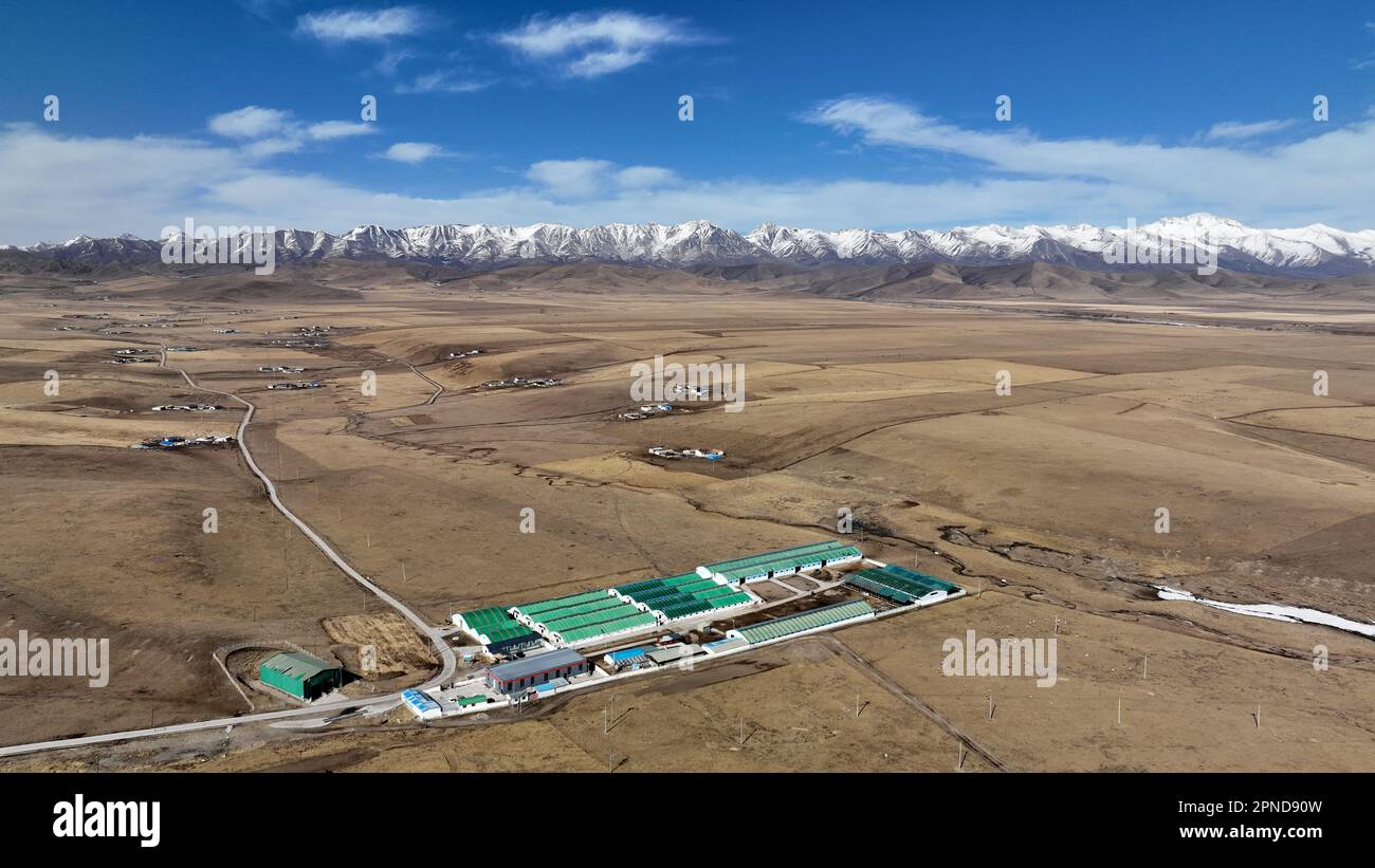 Farm revitalization hi-res stock photography and images - Alamy