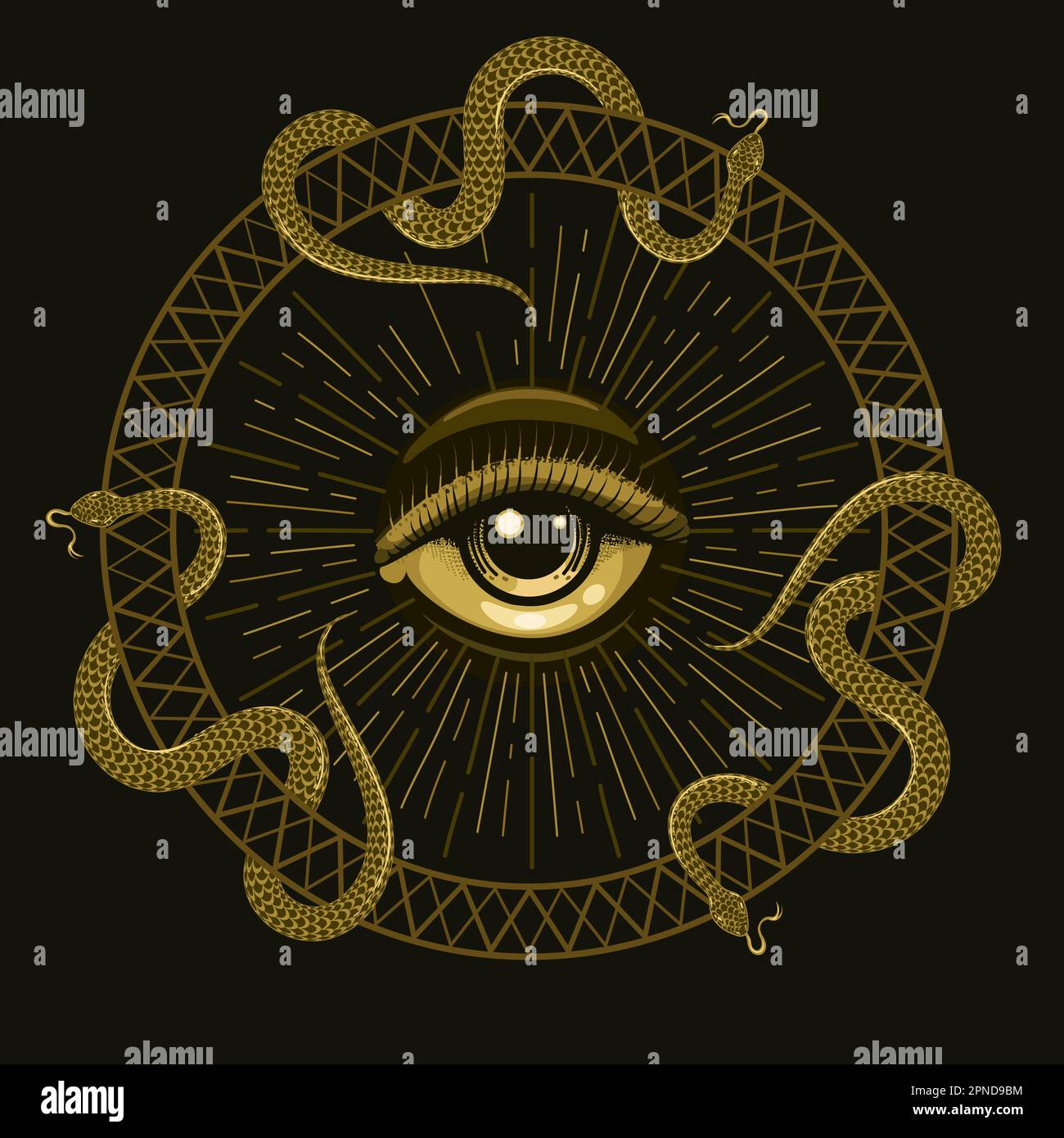 Esoteric Emblem of All Seeing Eye in circle and three snakes isolated ...