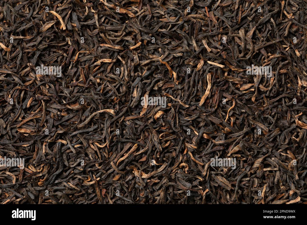 Indian Assam black Harmutty dried tea leaves full frame close up as ...