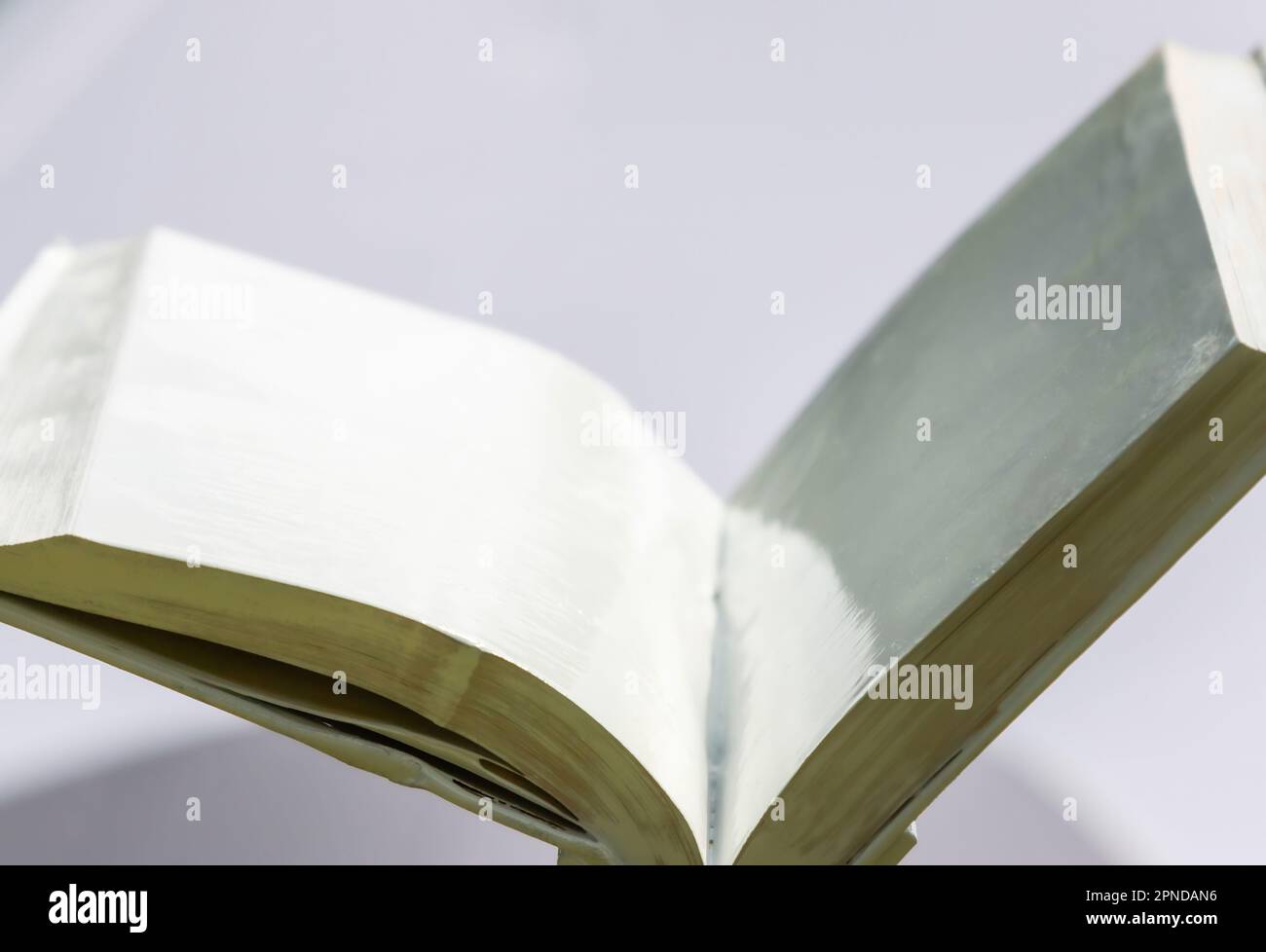 blank white open book on a uniform backgroundblank white open book on a ...