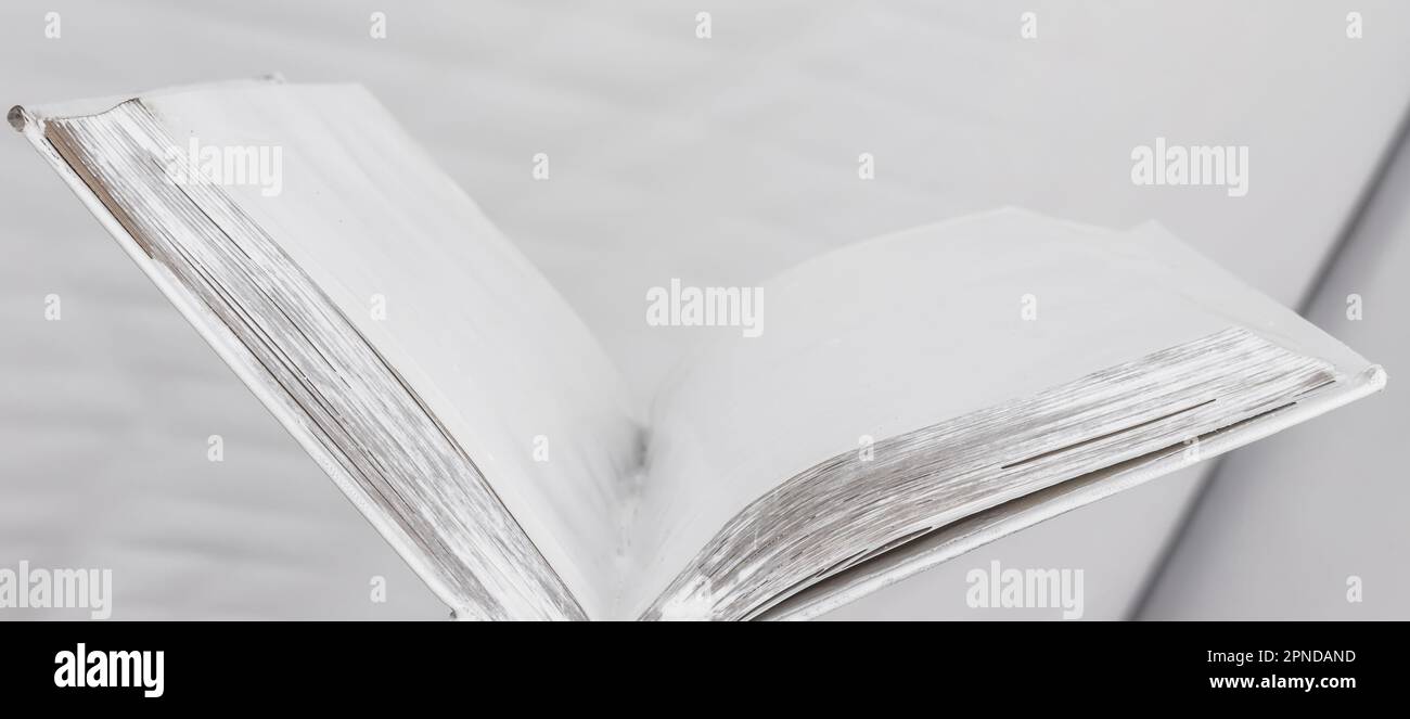 blank white open book on a uniform backgroundblank white open book on a ...