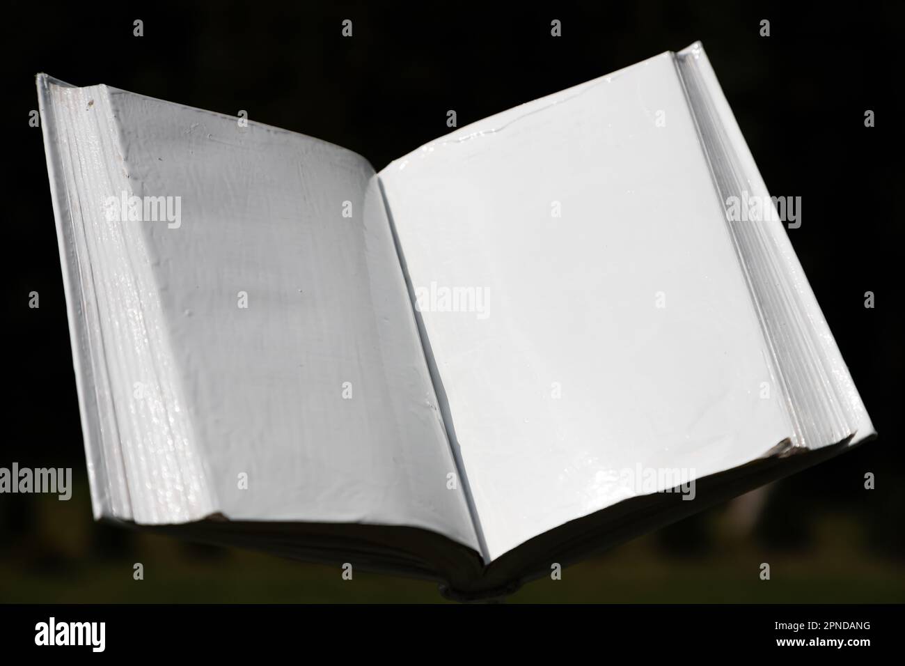 blank white open book on a uniform backgroundblank white open book on a ...