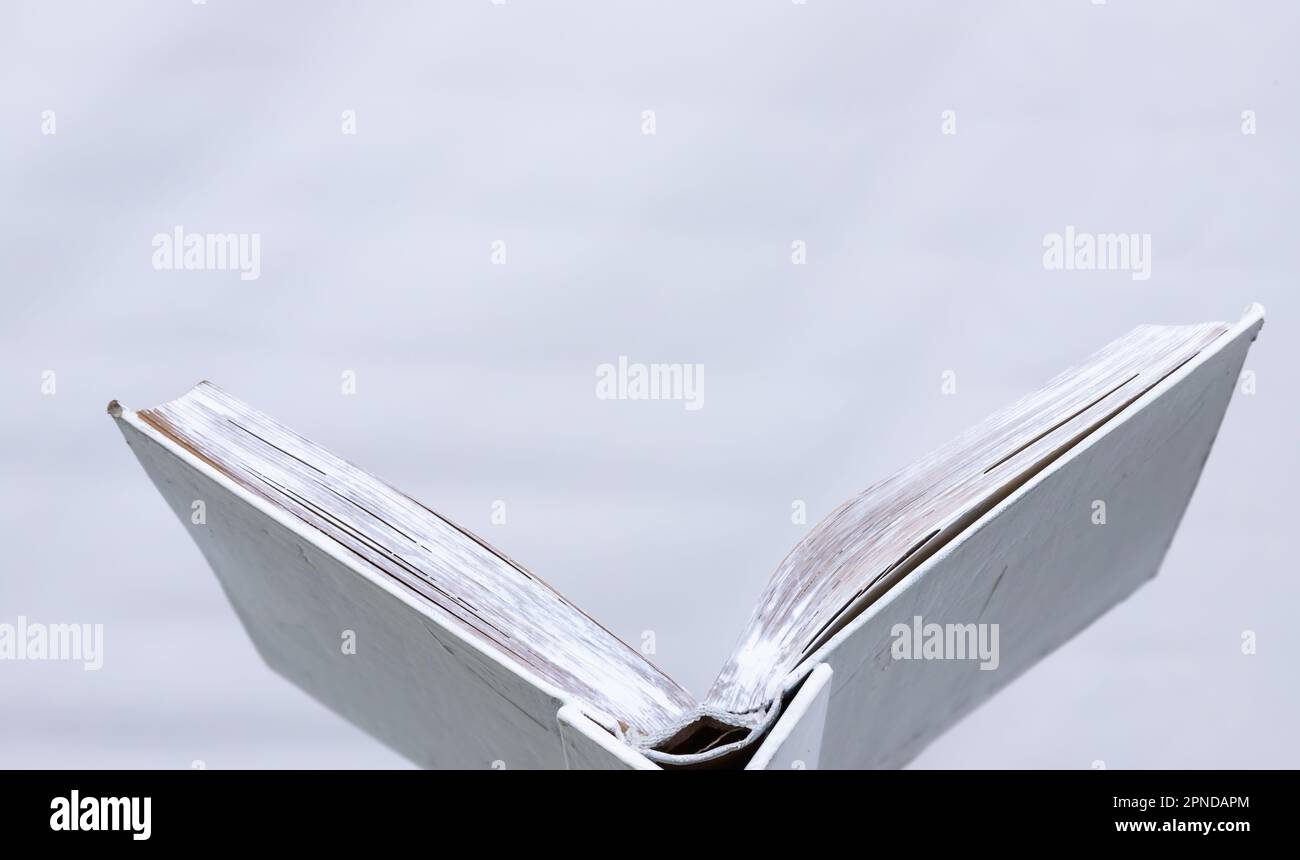 blank white open book on a uniform backgroundblank white open book on a ... blank white open book on a uniform backgroundblank white open book on a ...