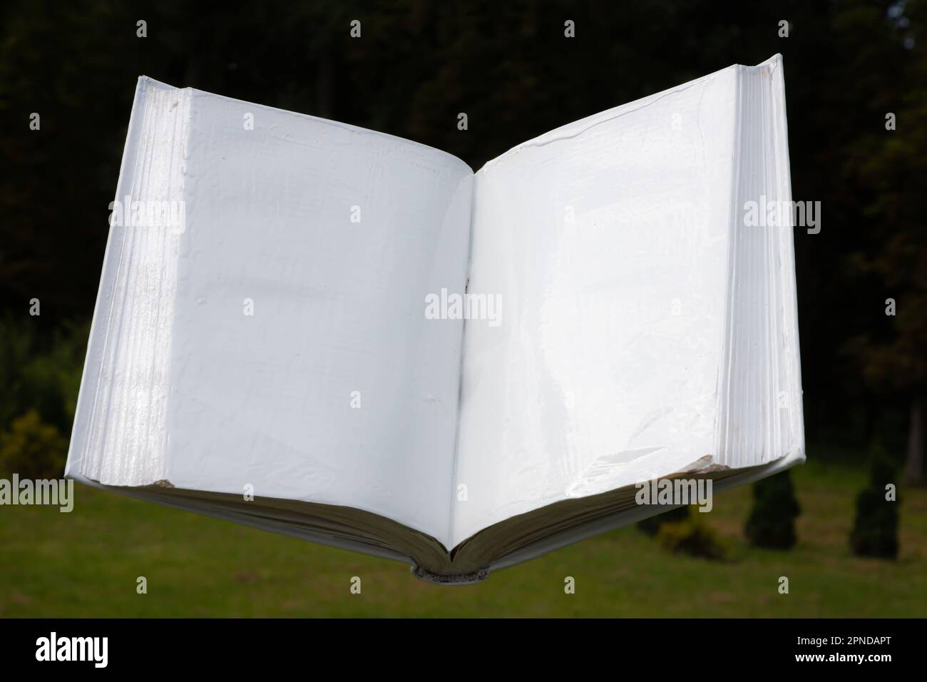 blank white open book on a uniform backgroundblank white open book on a ...