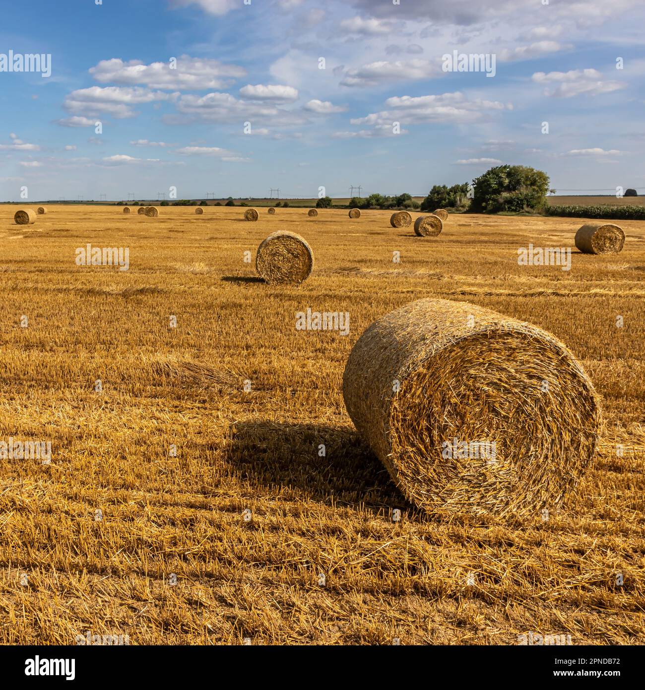 Agricultural harvesting hi-res stock photography and images - Alamy