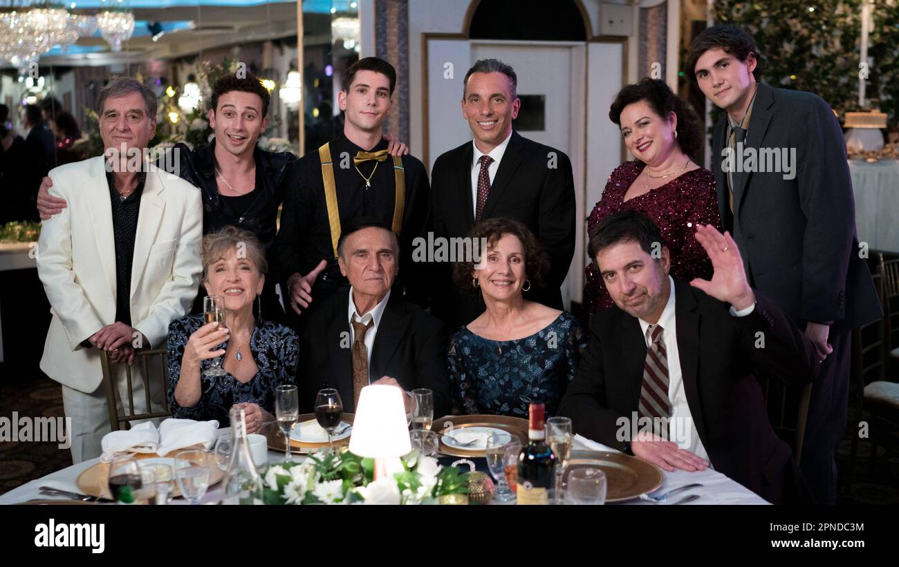 Tony Lo Bianco, Laurie Metcalf, Ray Romano, "Somewhere in Queens" (2023 ...