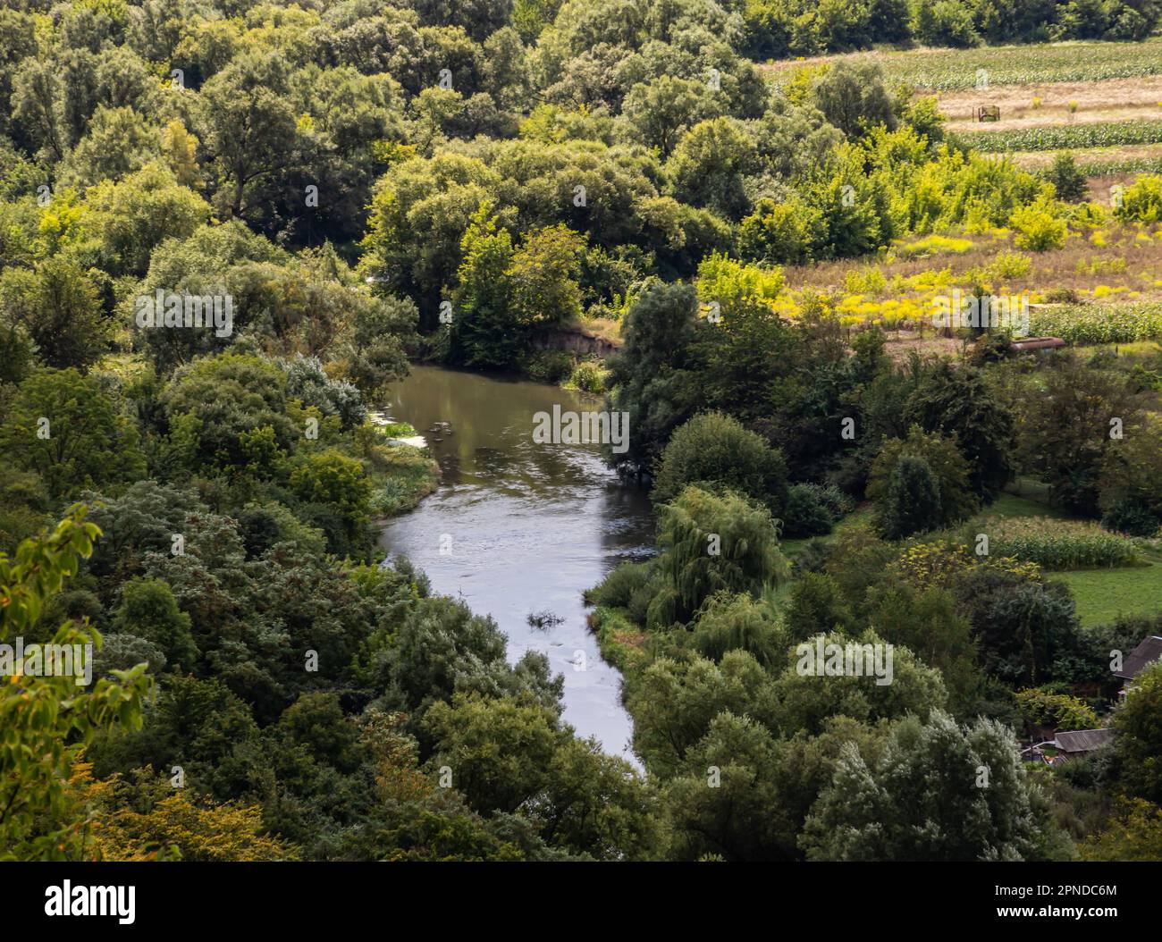 River among trees hi-res stock photography and images - Alamy