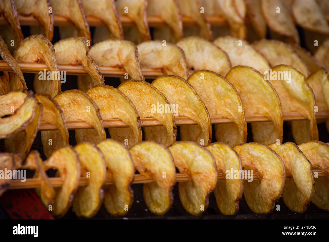 Spiral potatoes fried, on wooden sticks, spiral. Selling food at the ...