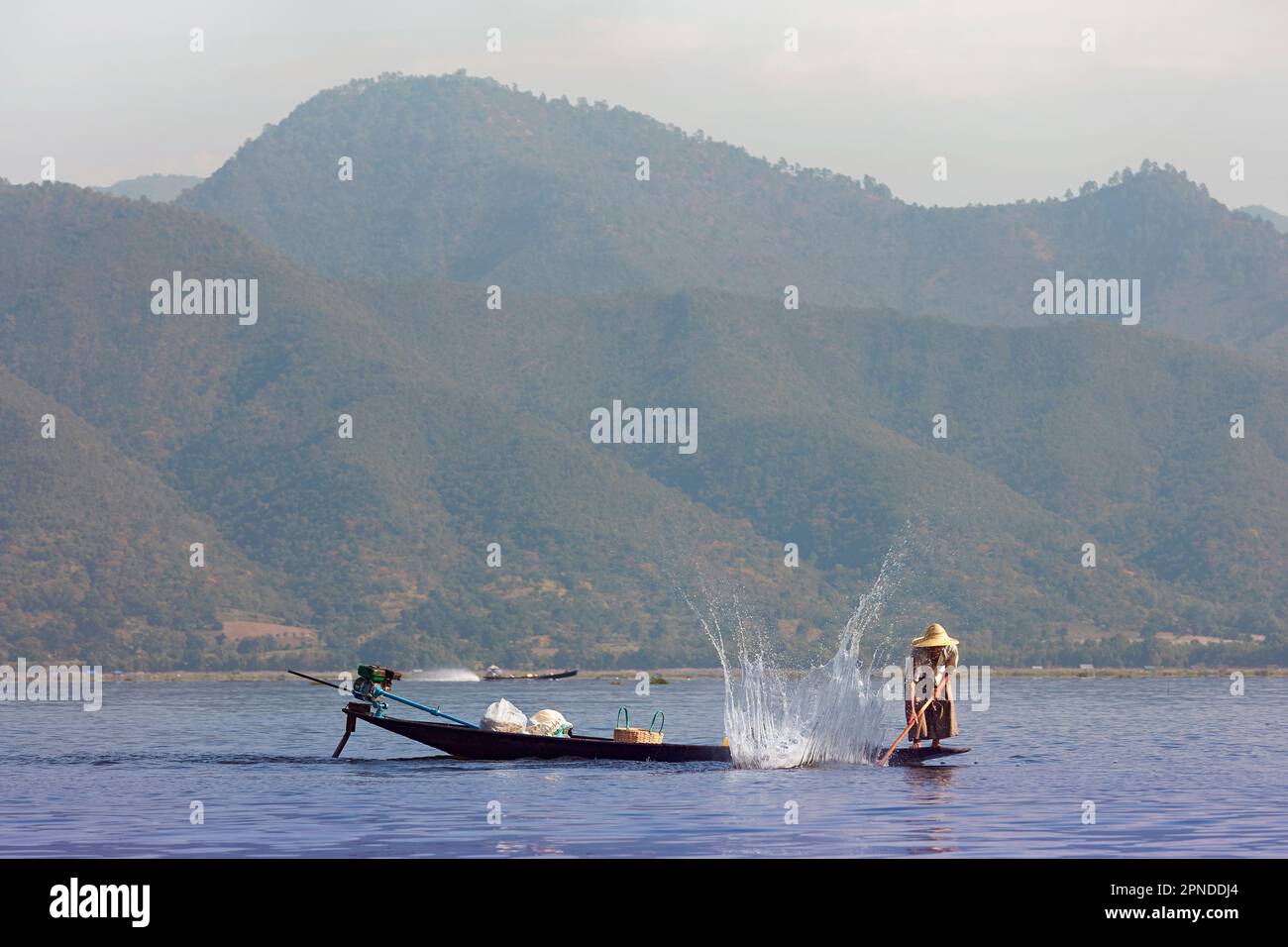 An Inle Lake one-legged fisherman beating the water with his oar to ...