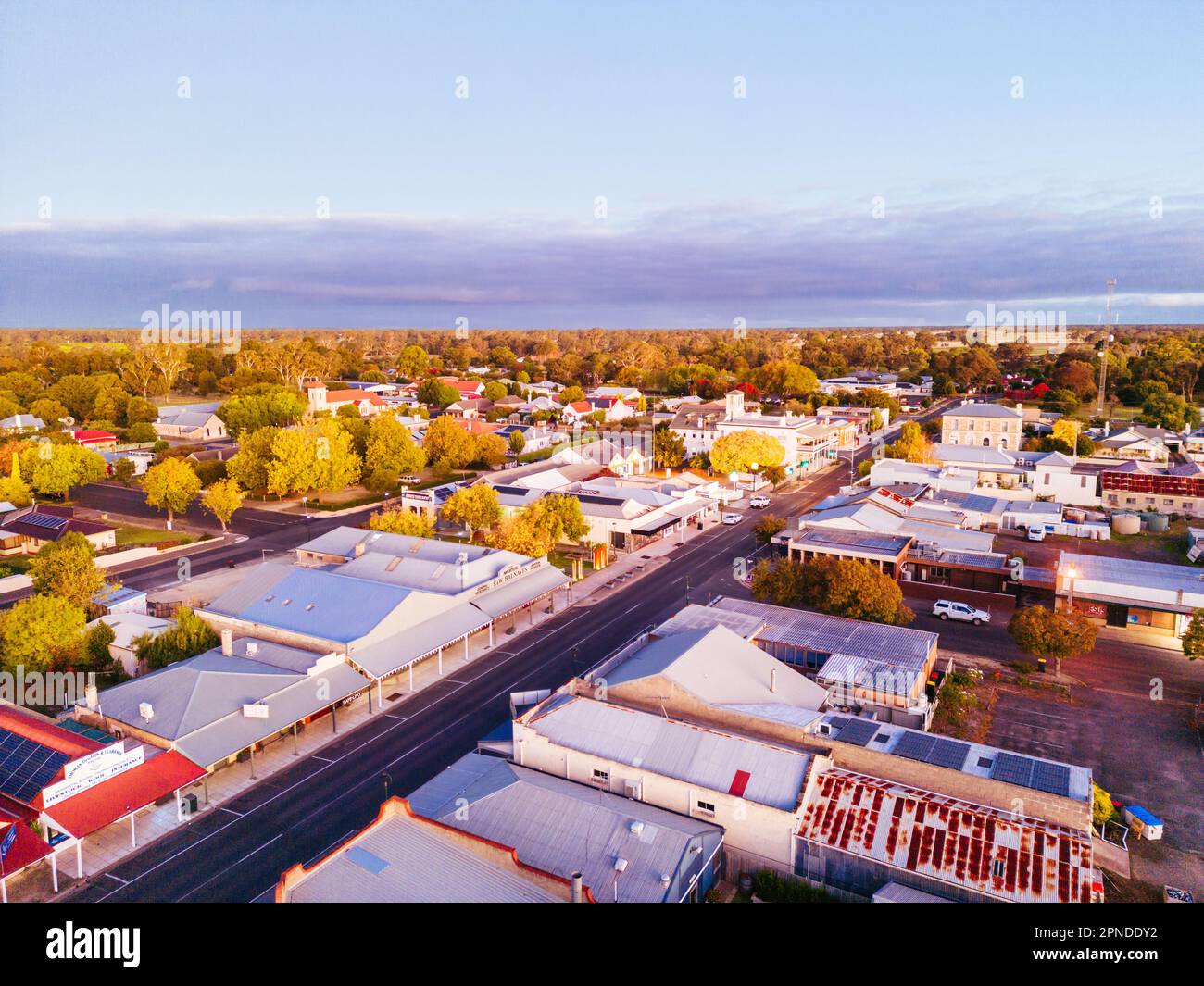 Coonawarra Landscape near Penola in Australia Stock Photo - Alamy