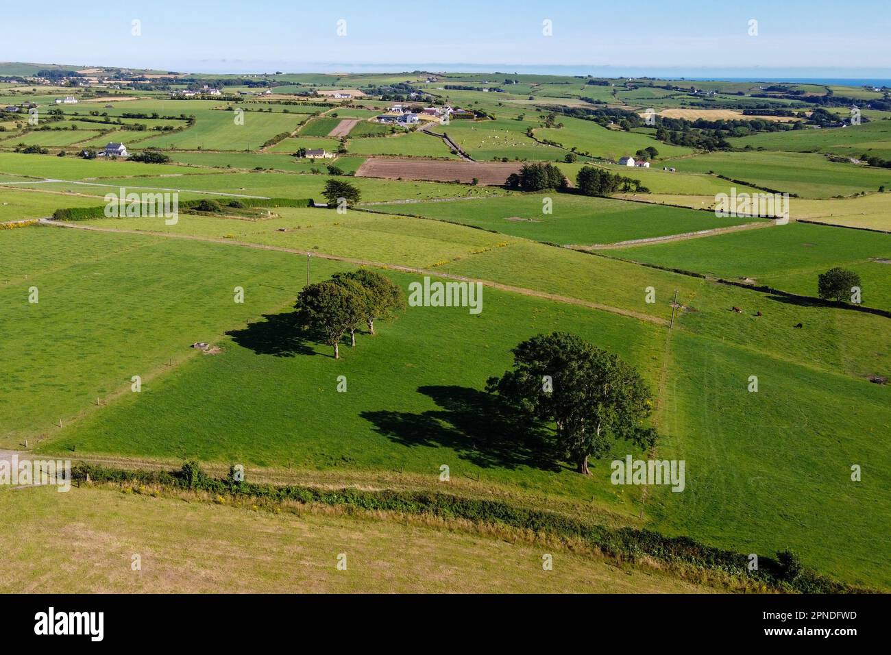 Fields, farm plots in the south of Ireland, top view. Irish agrarian ...