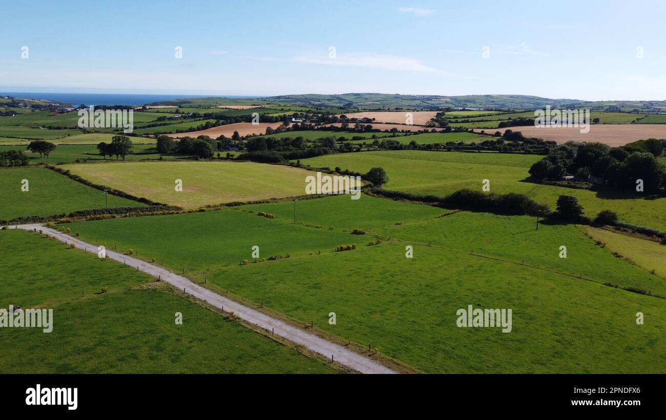 fields separated by shrubs, view. Cattle pastures in the south of ...