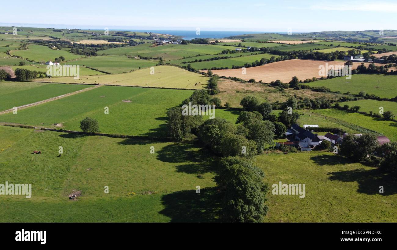fields and trees near a farm in Ireland in summer, top view. Irish ...