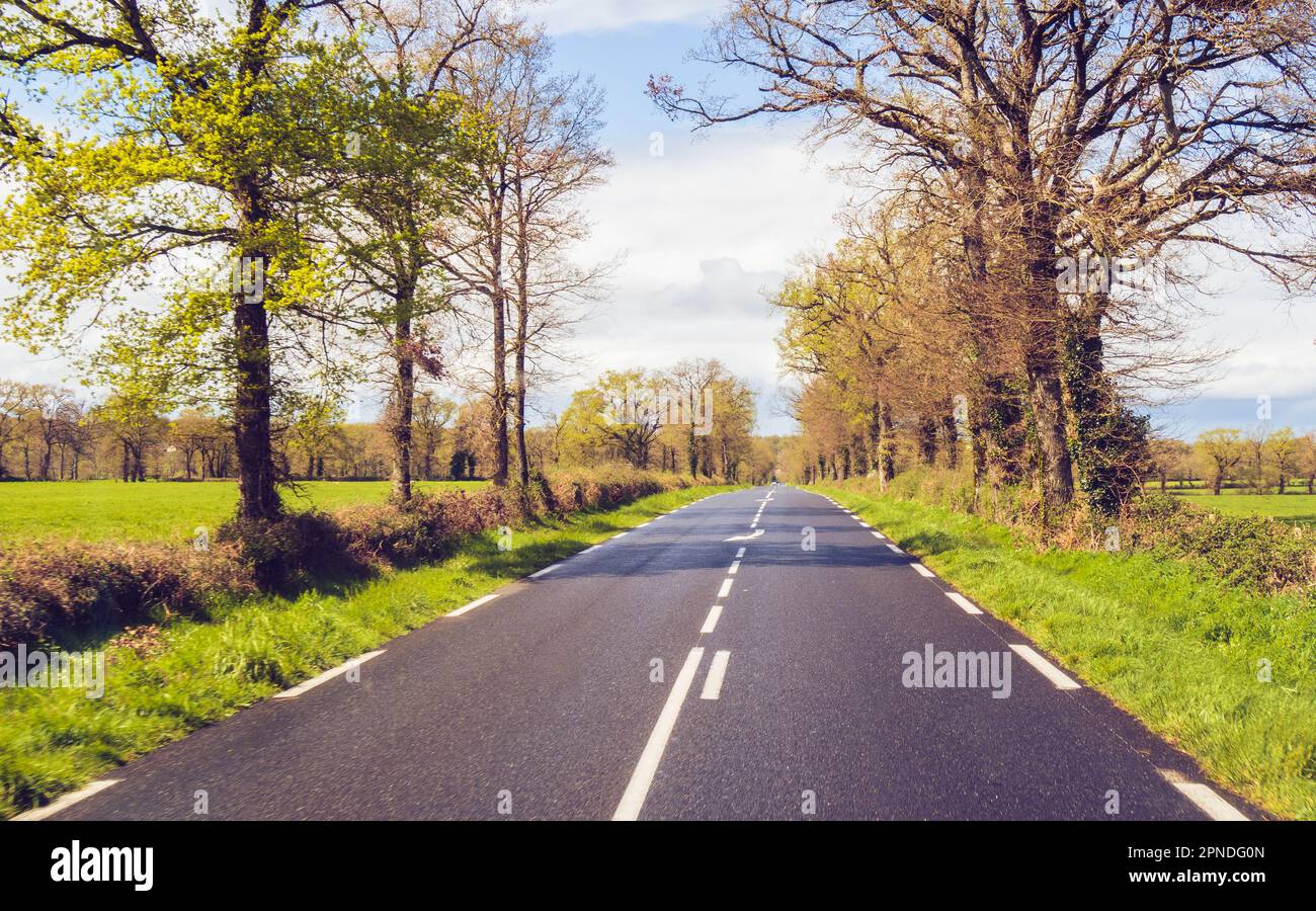 Driving on a rural french country road in spring Stock Photo - Alamy