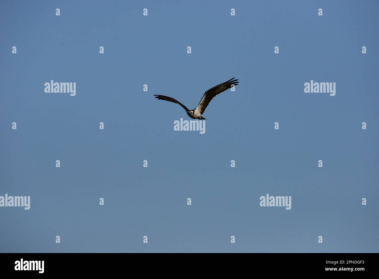 Flight over river coast in hi-res stock photography and images - Alamy