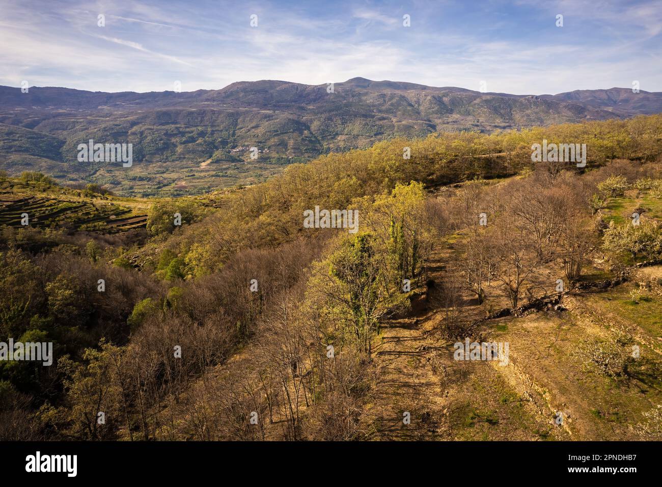 An aerial view of the picturesque Valle del Jerte in Spain, featuring a ...