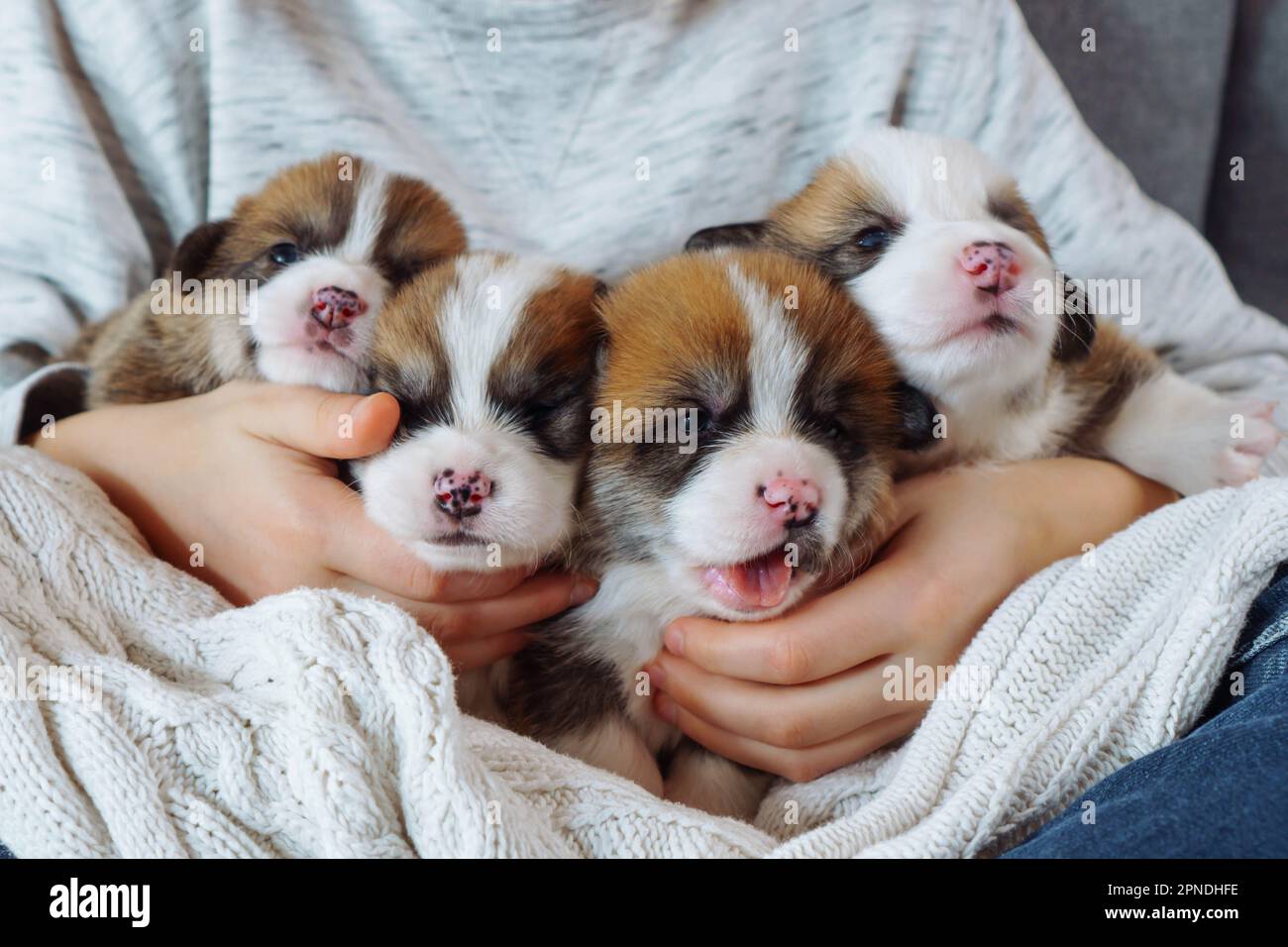 Unrecognizable person in T-shirt and jeans, sitting cross-legged on ...