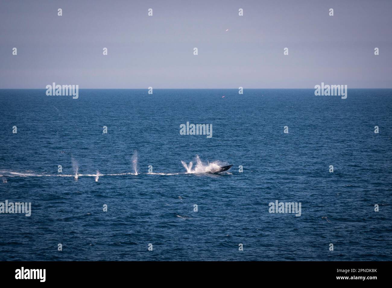 Gunners onboard HMCS Margaret Brooke and other nearby ships use a ...