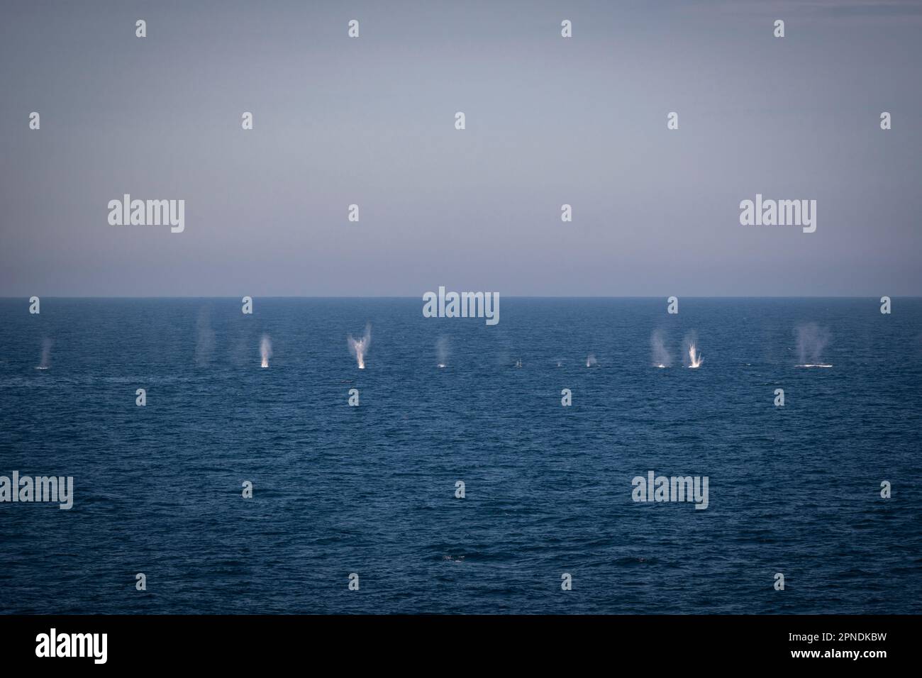 Gunners onboard HMCS Margaret Brooke and other nearby ships use a ...