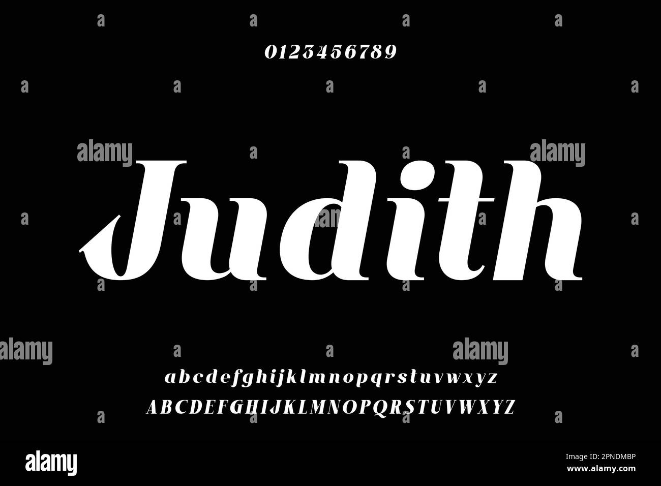 Elegant luxury bold italic alphabets font vector Stock Vector Image ...