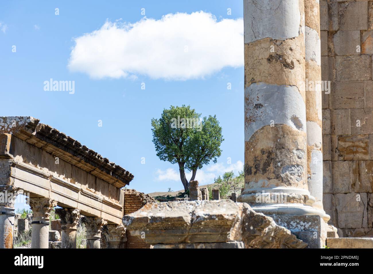 Roman ruins in the ancient city of Cuicul-Djemila. UNESCO world ...