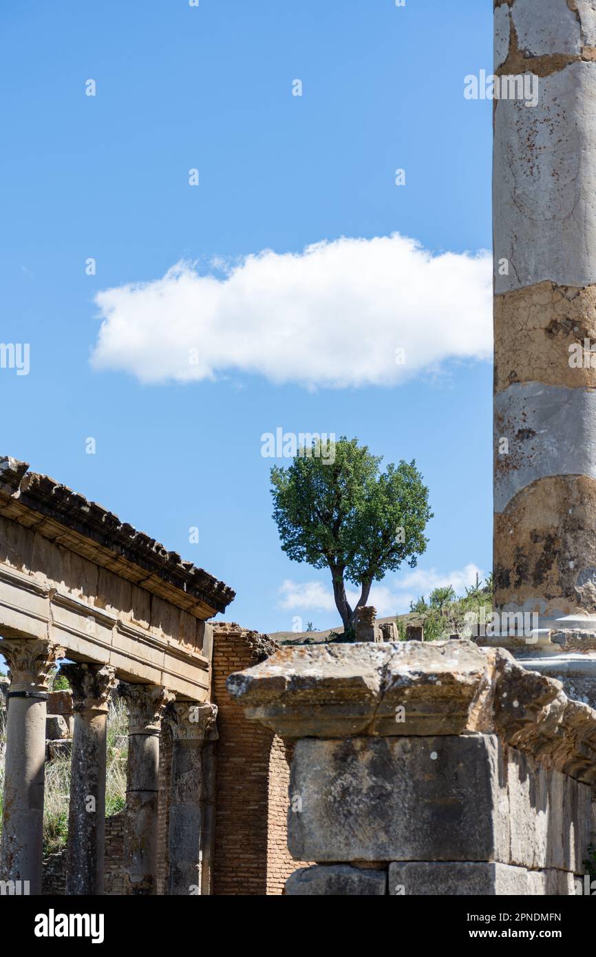 View of Roman ruin in the ancient city of Cuicul-Djemila. UNESCO world ...