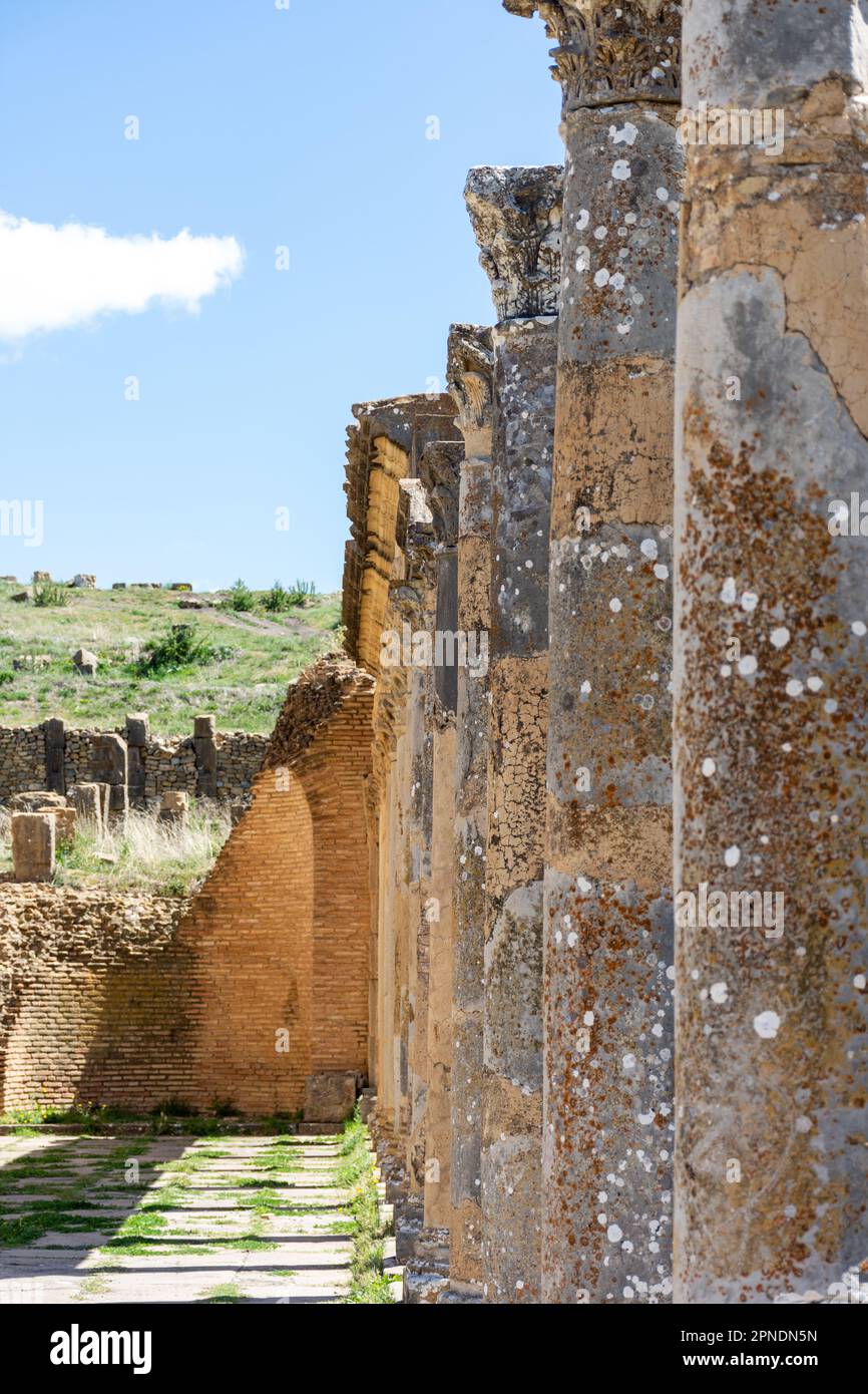 Roman ruins in the ancient city of Cuicul-Djemila. UNESCO world ...