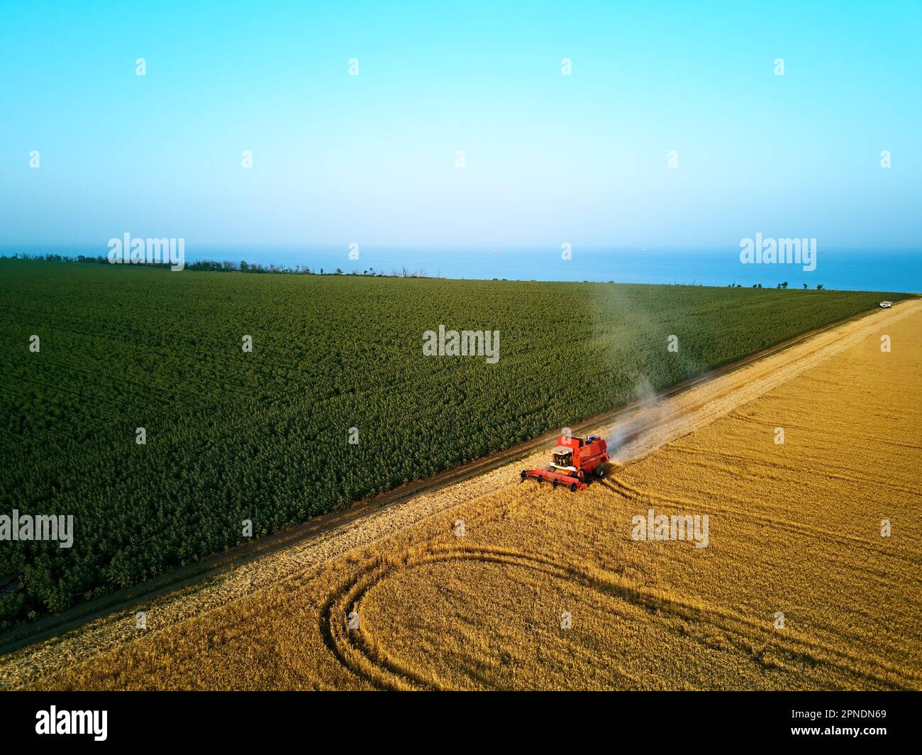 Aerial of red combine harvester working in wheat field near cliff with ...