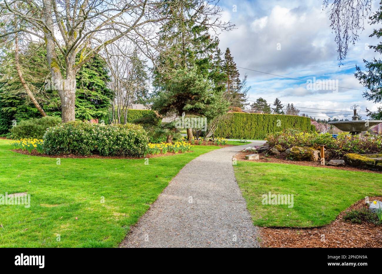 A gardn park in Normandy Park, Washington. Spring flowers are in bloom ...