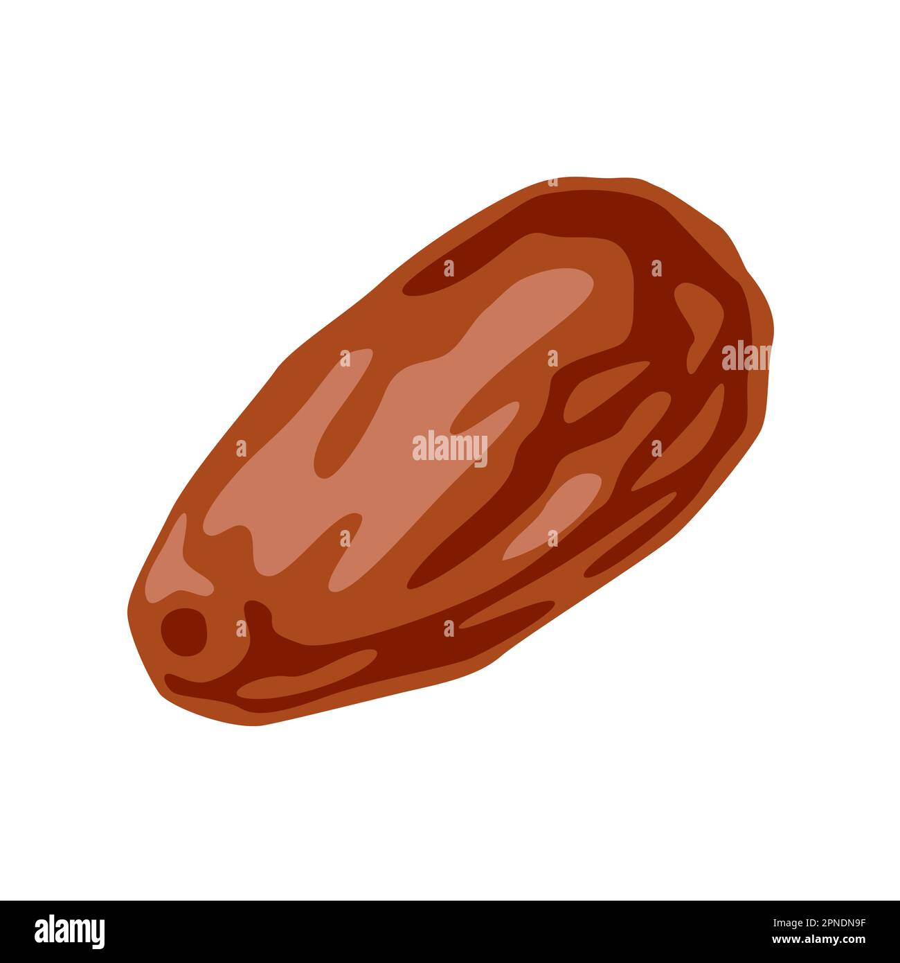 Illustration of date fruit. Tropical vegetarian food for healthy ...