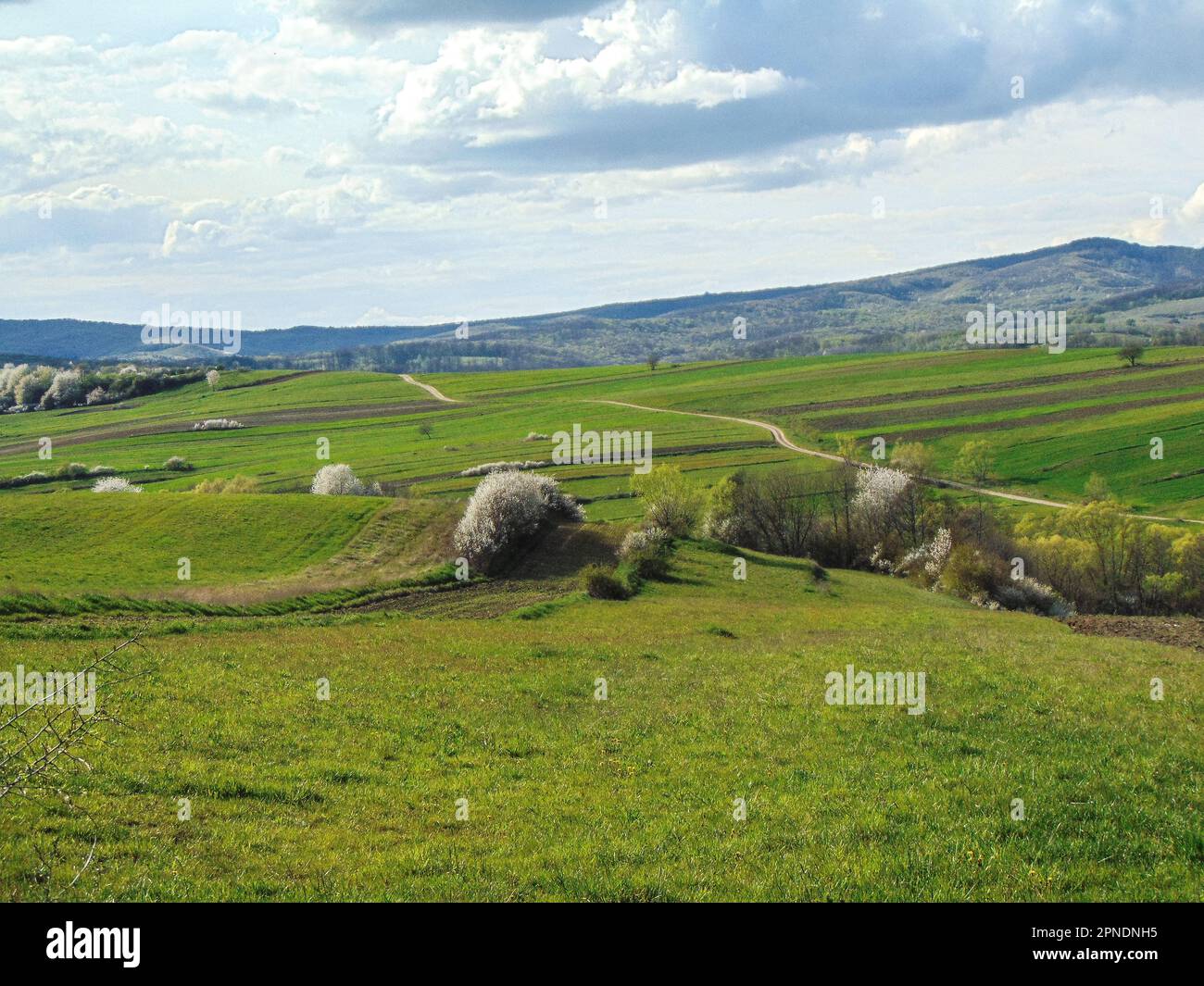 Romania natural hi-res stock photography and images - Alamy