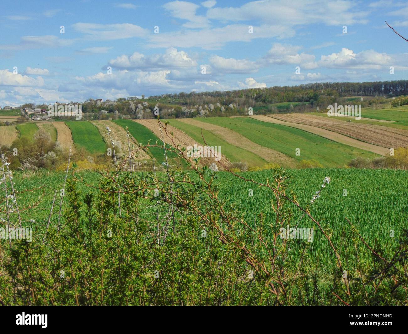 Spring landscape in Romania. Natural landscape in April Stock Photo - Alamy